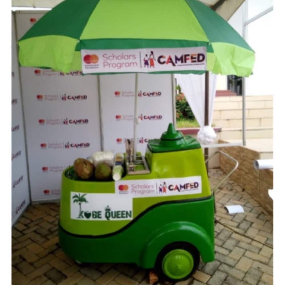 Coconut Water Cart: Serve Fresh Tender Coconut Water with Attractive ...