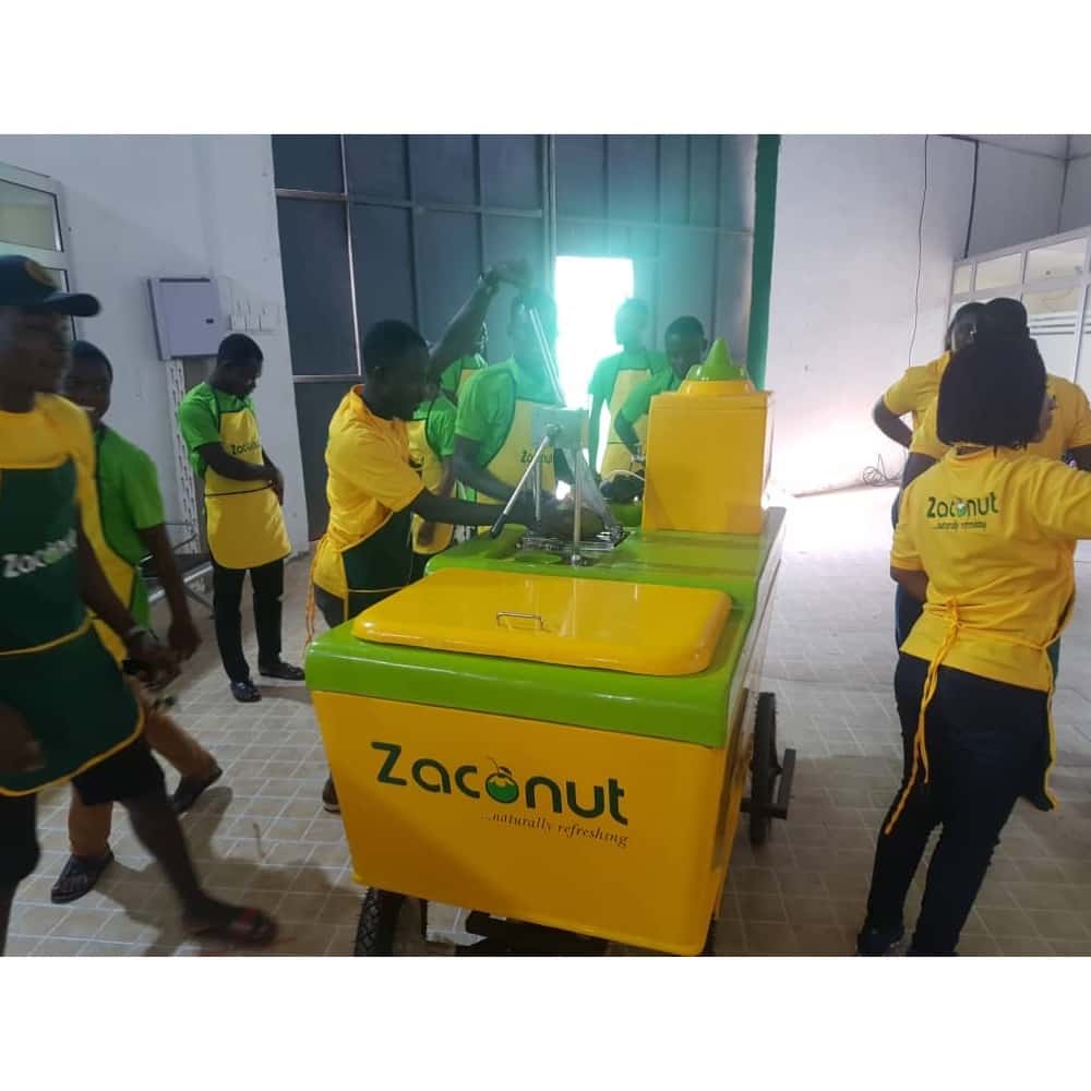 Coconut Water Cart: Serve Fresh Tender Coconut Water with Attractive ...